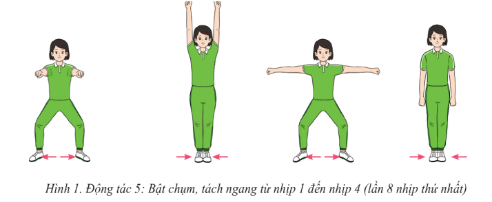 Giáo án GDTC 9 cánh diều: Bài 2 Bài thể dục nhịp điệu (từ động tác 5 ...
