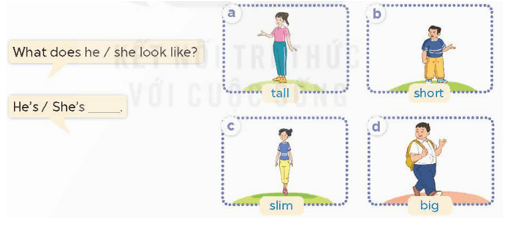 Giải tiếng anh 4 Global Success: Unit 13 Appearance